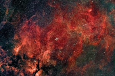 Orion Nebula Canvas Art by Robert Gendler | iCanvas