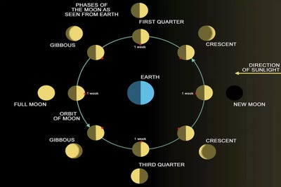 Coloring Images Of The Moon Cycles Moon Phases Diagram Outlined For