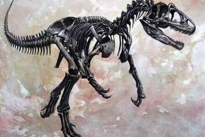 Dinosaur Skeleton Drawing