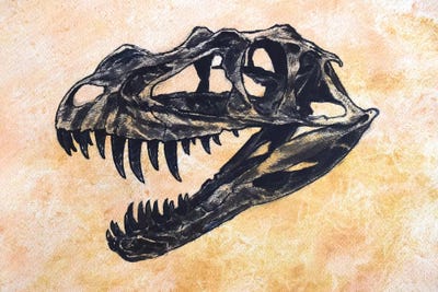 Ceratosaurus Skeleton