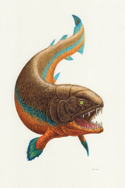 Prehistoric Fish Drawing