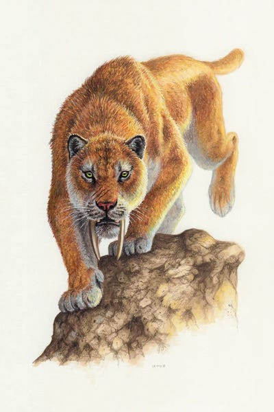 Sabertooth Tiger Art: Canvas Prints & Wall Art | iCanvas