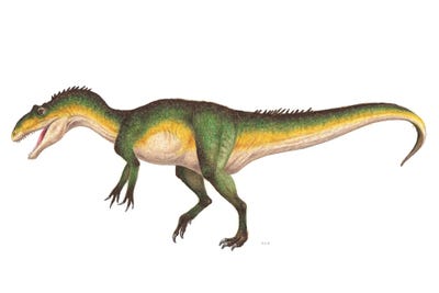 Allosaurus