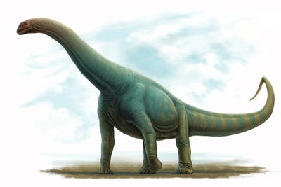 Spinophorosaurus