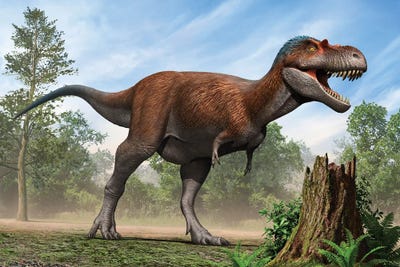 Albertosaurus Feathers