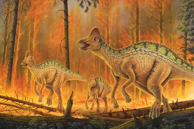 Hypacrosaurus