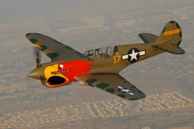 P40 Warhawk Art