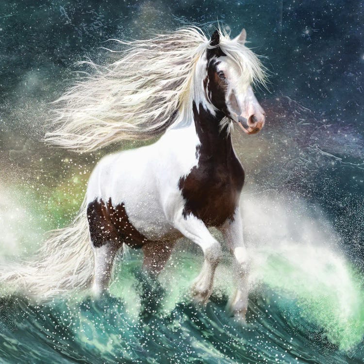 Drifting With The Tides Canvas Wall Art by Trudi Simmonds | iCanvas