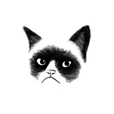 Angry Cat Drawing