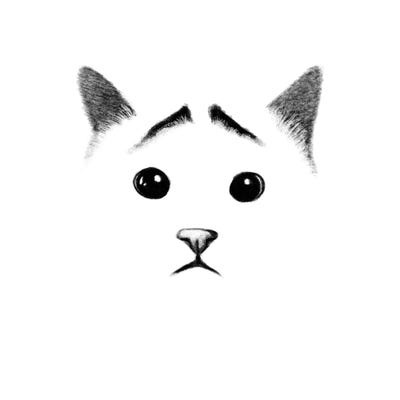 Cats With Eyebrows Drawn On