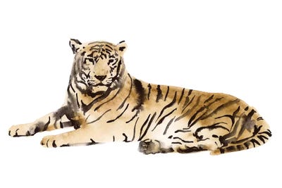 Tiger Painting Watercolor