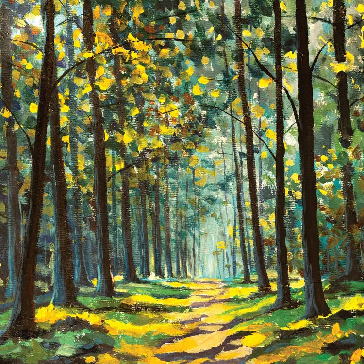 Gorgeous Forest In Autumn Canvas Wall Art by Valery Rybakow | iCanvas