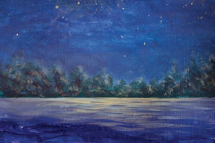 Beautiful Night Starry Sky, Blue Co - Canvas Wall Art | Valery Rybakow