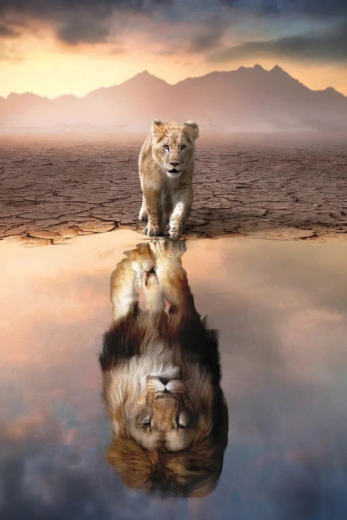 Lion Reflection Canvas Wall Art by Zenja Gammer | iCanvas