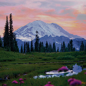 Canvas Art Prints & Wall Art | iCanvas