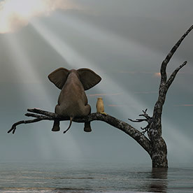 Canvas Art Prints & Wall Art | iCanvas