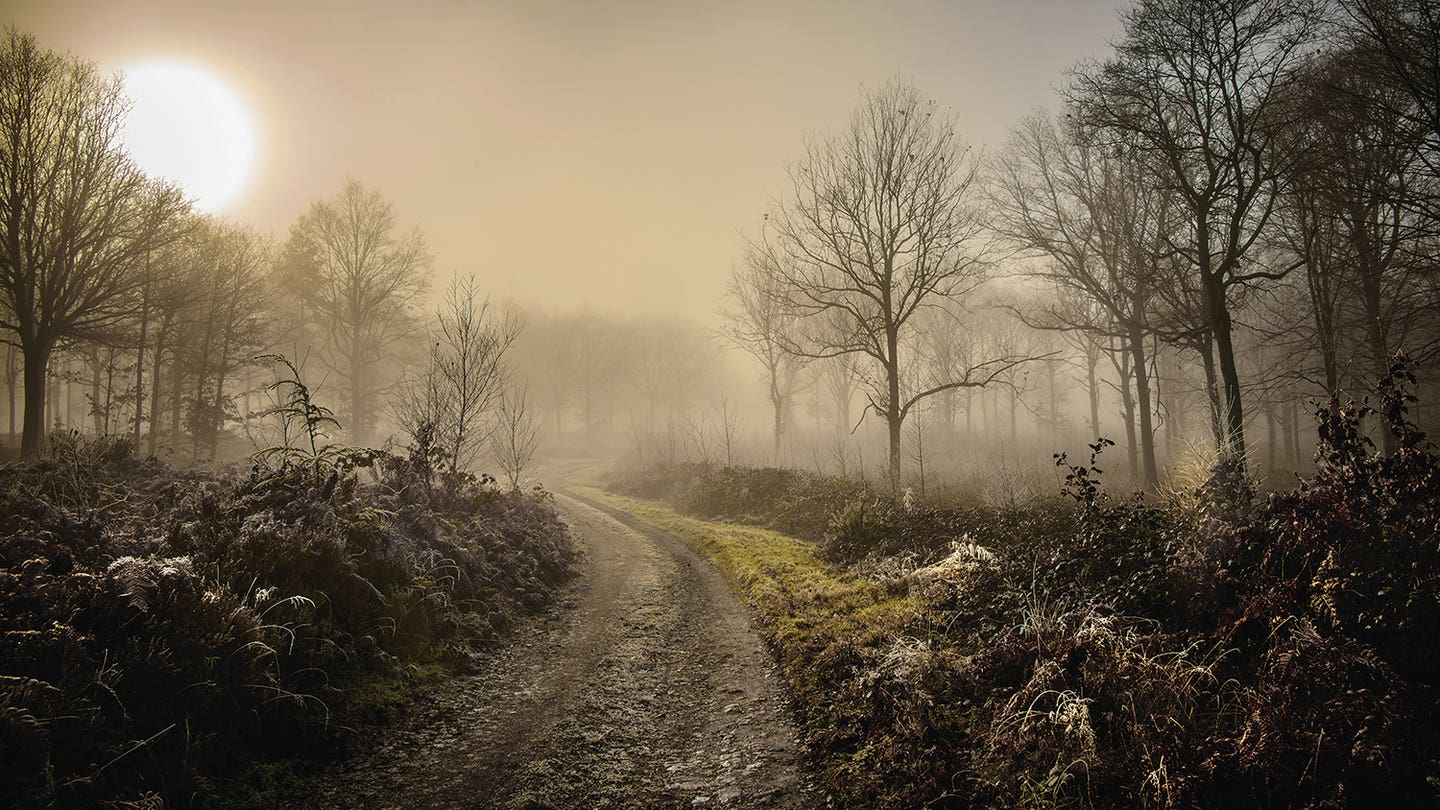 Mark Gemmell - Canvas Prints - Canvas Prints & Wall Art | iCanvas