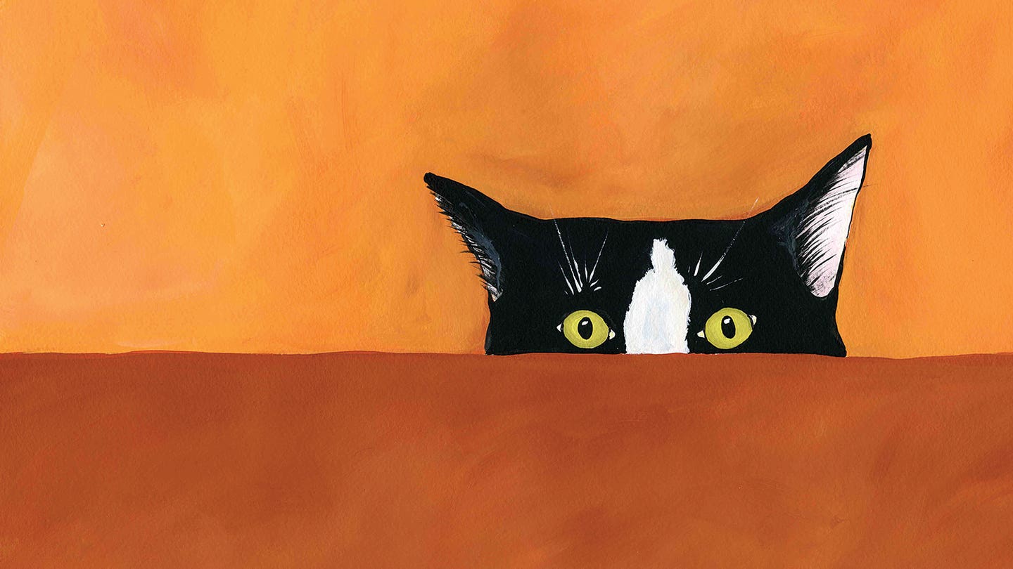 Jamie Morath - Canvas Prints & Wall Art | iCanvas
