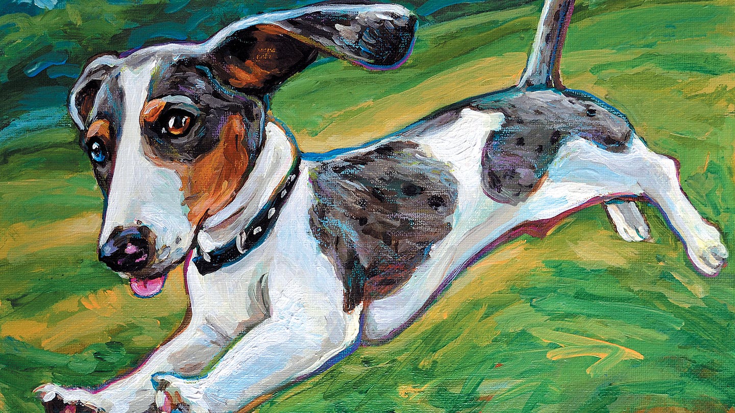 Robert Phelps - Canvas Prints & Wall Art | iCanvas