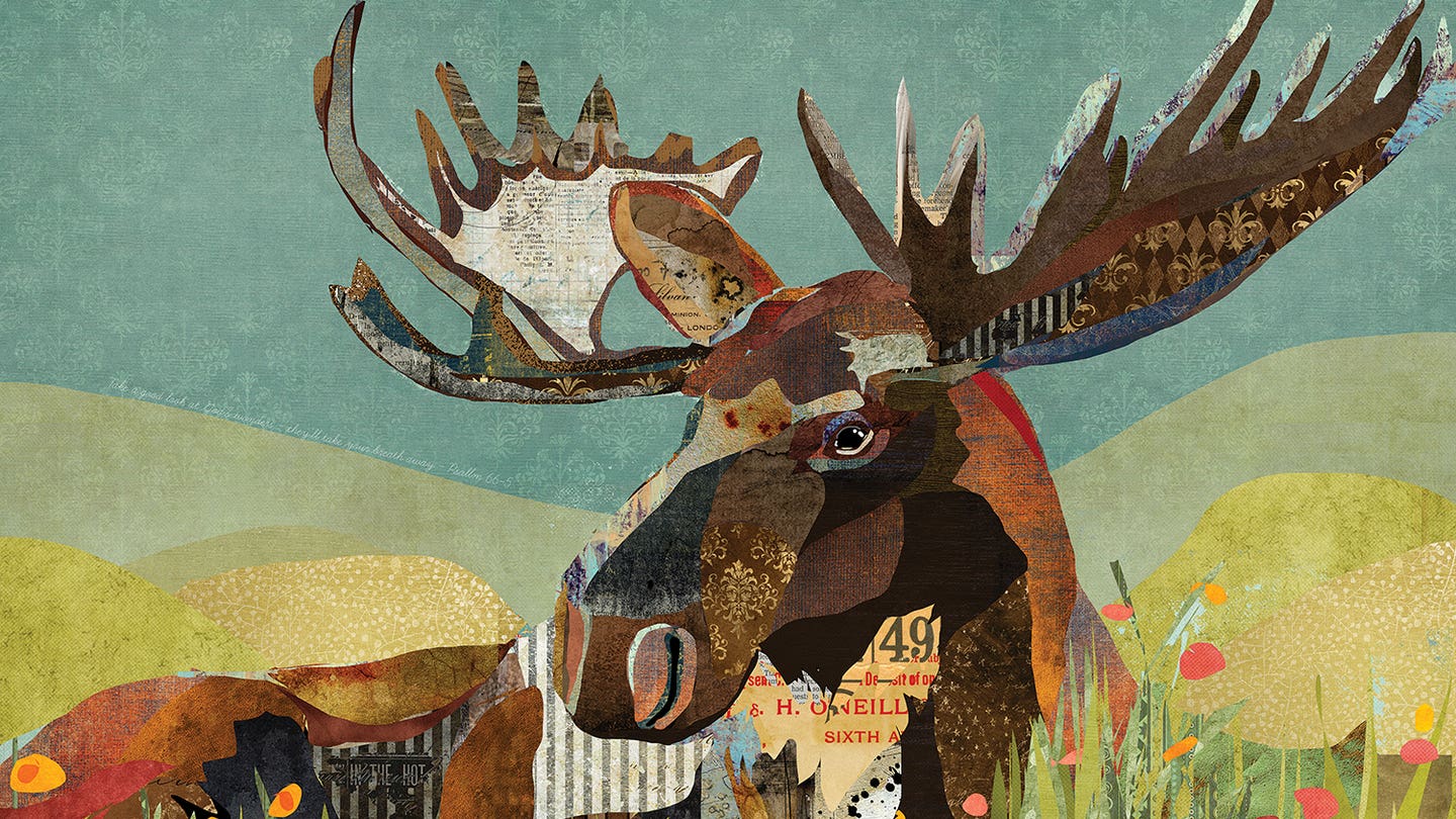 Traci Anderson - Canvas Prints & Wall Art | iCanvas