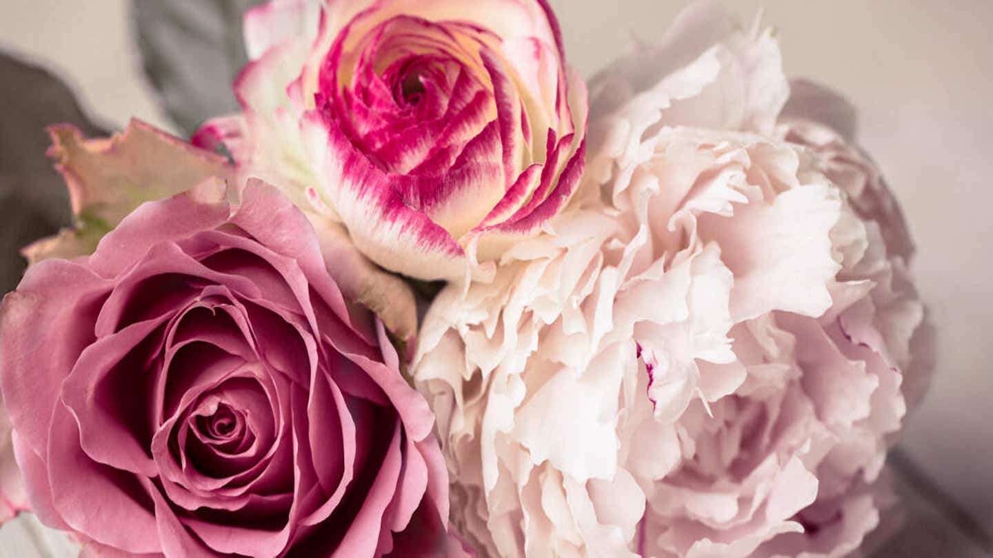 Botanical Still Life - Canvas Prints & Wall Art | iCanvas