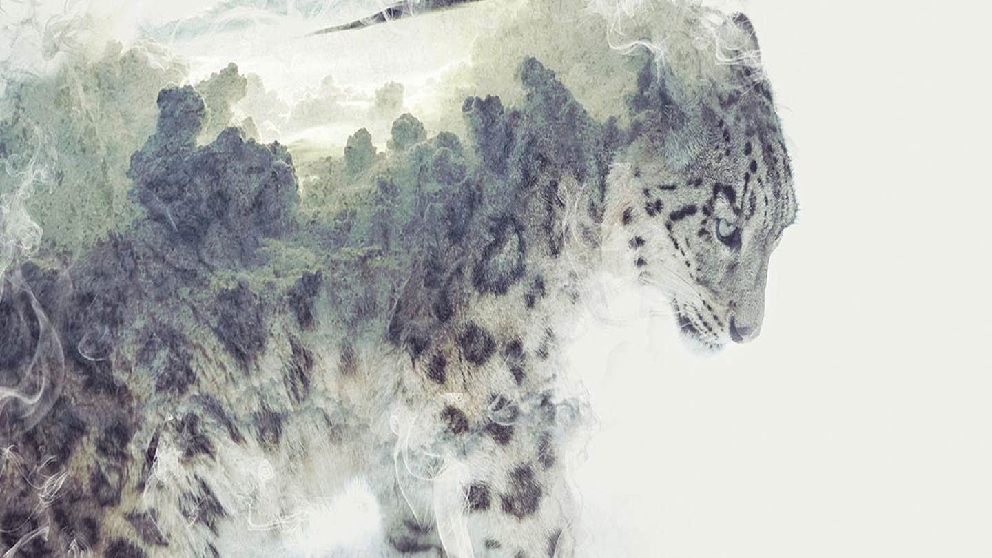 Dániel Taylor - Canvas Prints & Wall Art | iCanvas