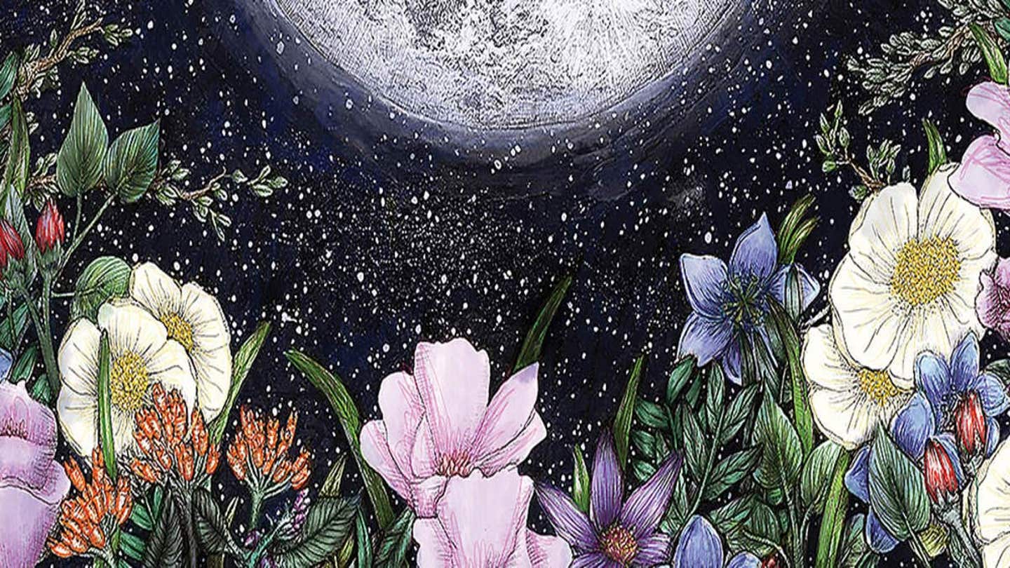 Ella Mazur - Canvas Prints & Wall Art | iCanvas