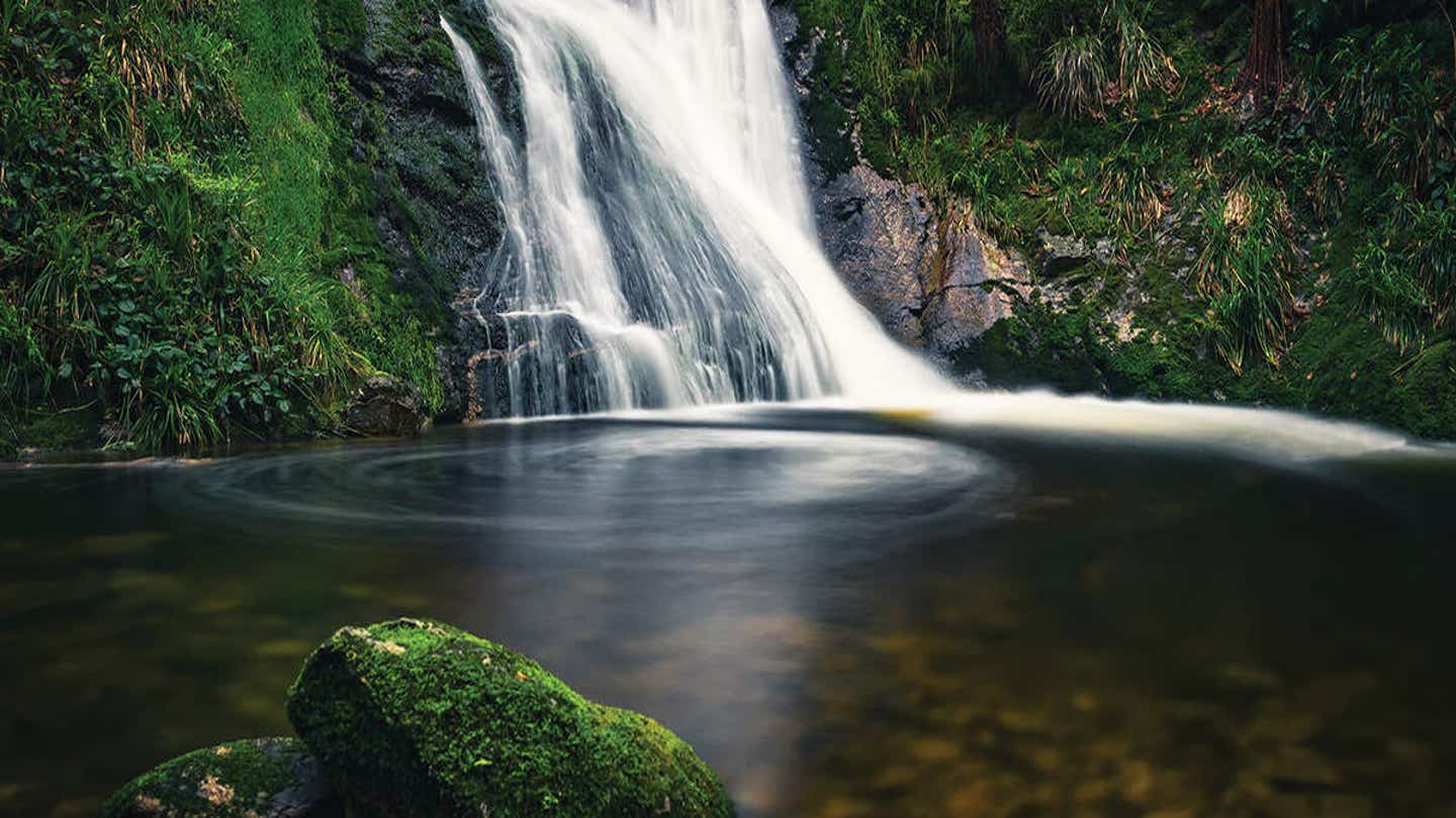 Michael Schwan - Canvas Prints & Wall Art | iCanvas