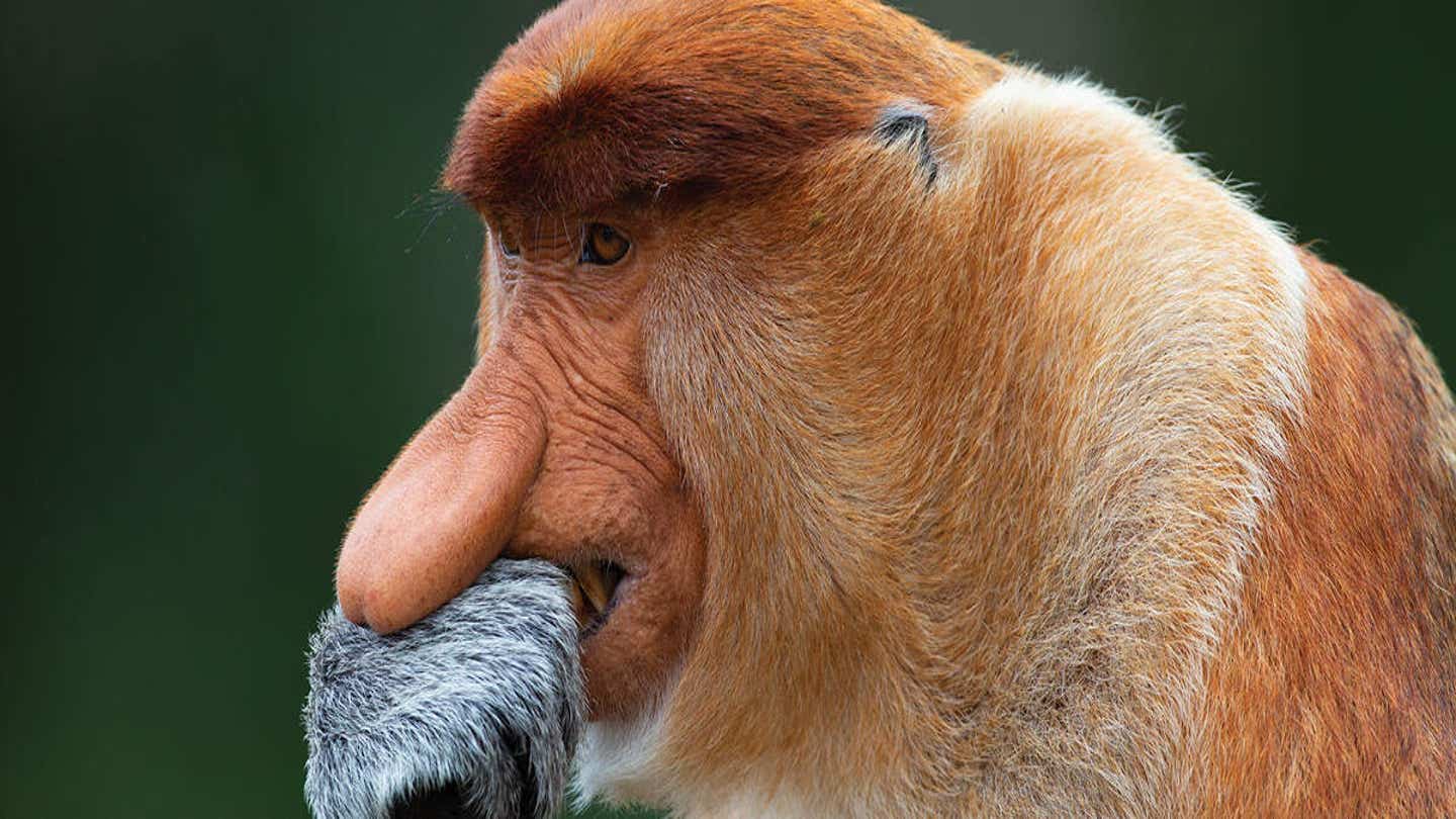 Mogens Trolle - Canvas Prints & Wall Art | iCanvas