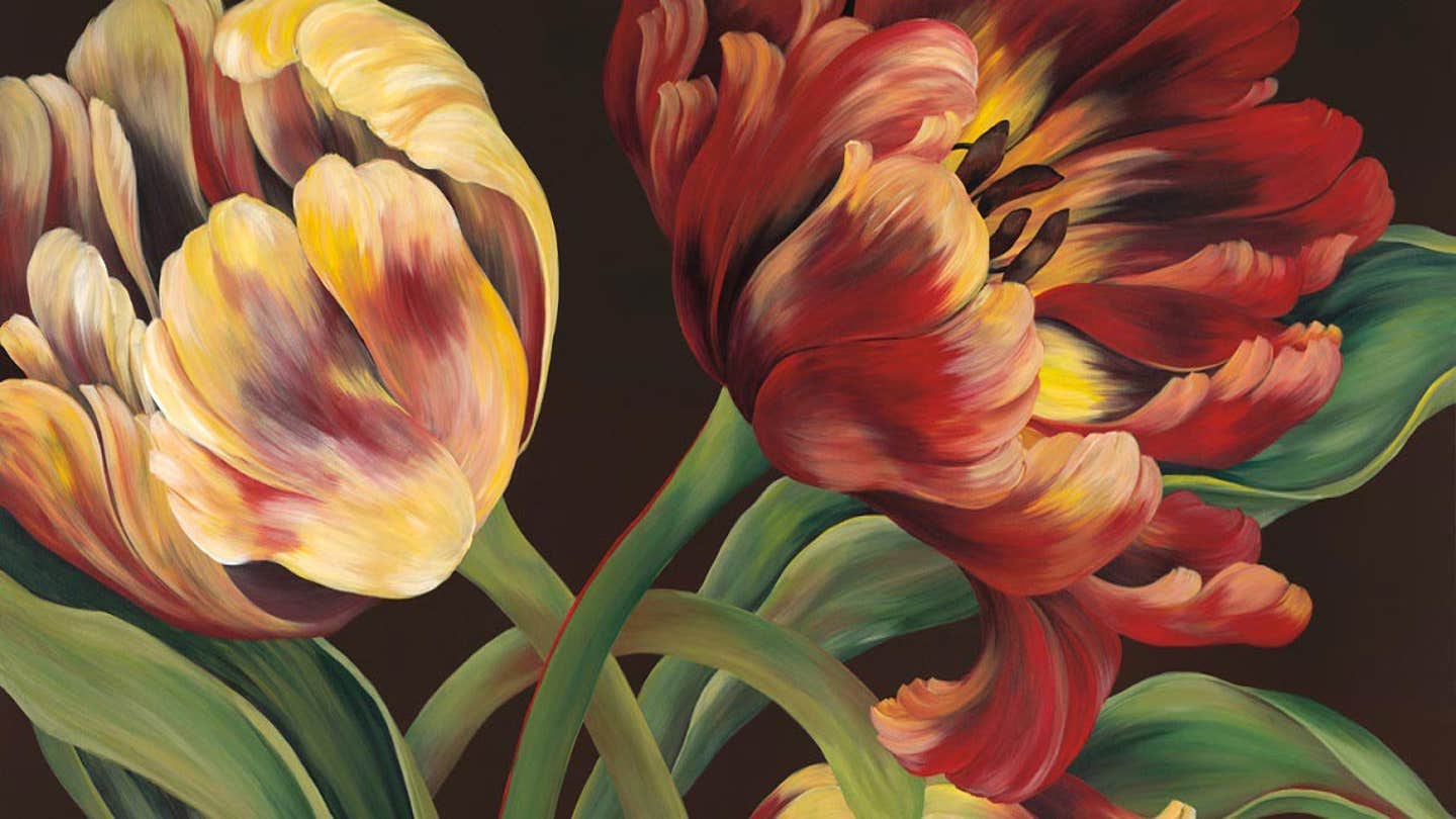 Sarah Mulder - Canvas Prints & Wall Art | iCanvas